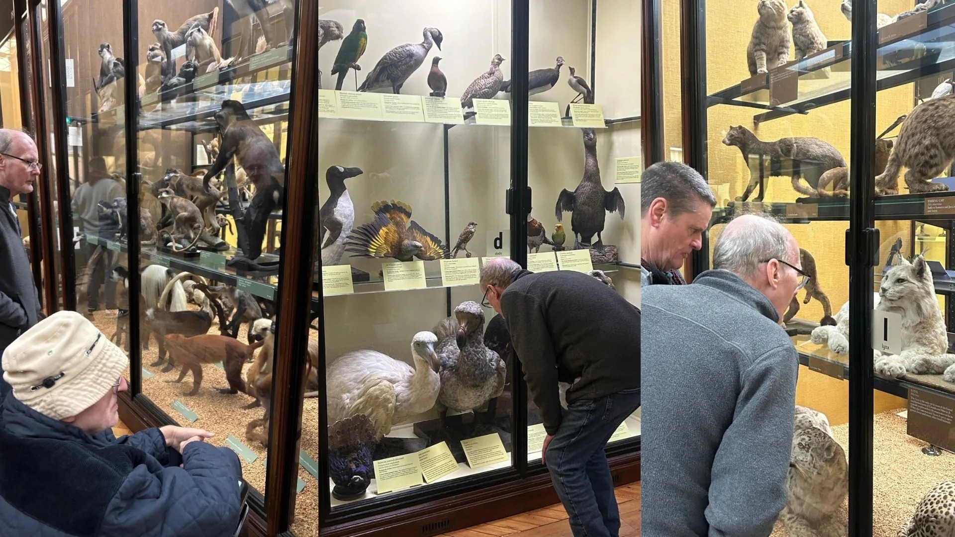 Highview Lodge Residents Enjoy Outing To Tring Museum - Care Homes UK ...